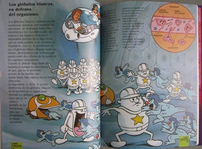 Erase una Vez el Cuerpo Humano / Planeta – Libreria Pensar