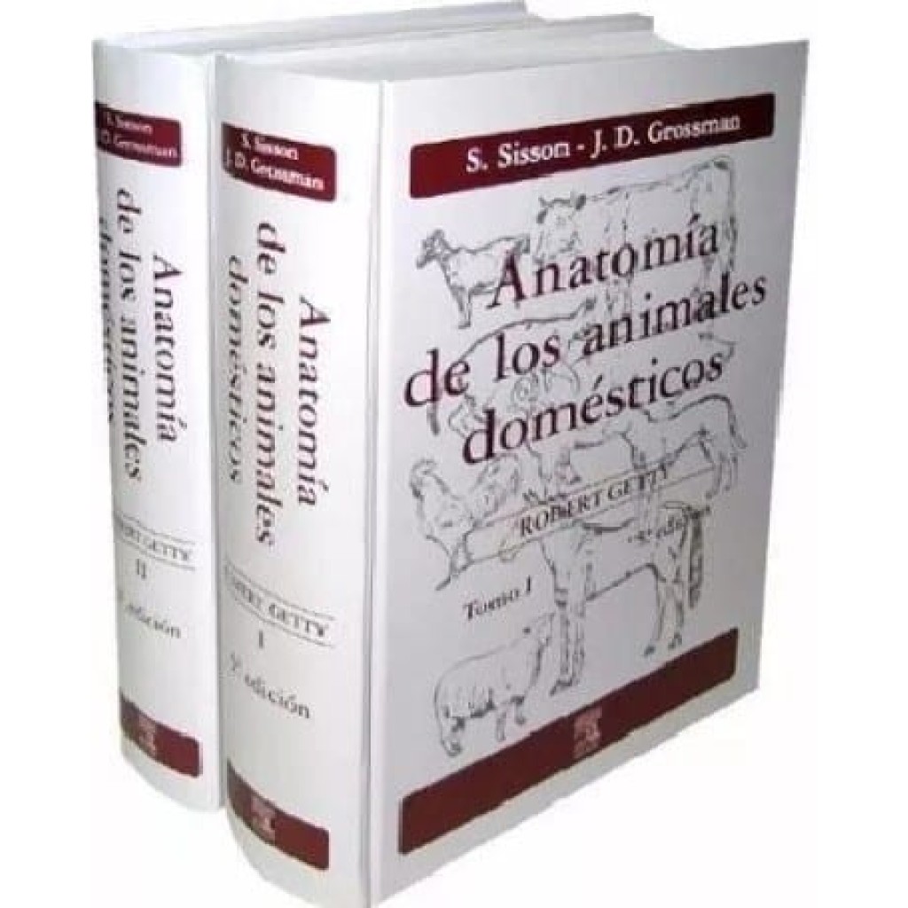Anatomía De Los Animales Domésticos 2 T – Sisson – Robert Getty- Masson ...